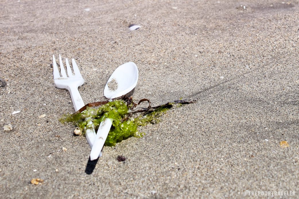 Help Save the Ocean with These 7 Small Lifestyle Adjustments ...