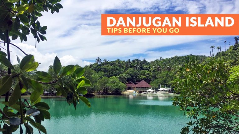DANJUGAN ISLAND, NEGROS OCCIDENTAL: IMPORTANT TRAVEL TIPS - Philippine ...