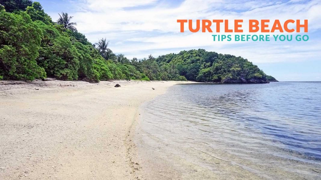 TURTLE BEACH, DANJUGAN ISLAND: IMPORTANT TRAVEL TIPS - Philippine Beach ...