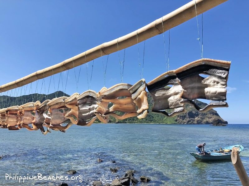 7 INTERESTING TREASURES THAT MAKE BATANES UNIQUE - Philippine Beach Guide