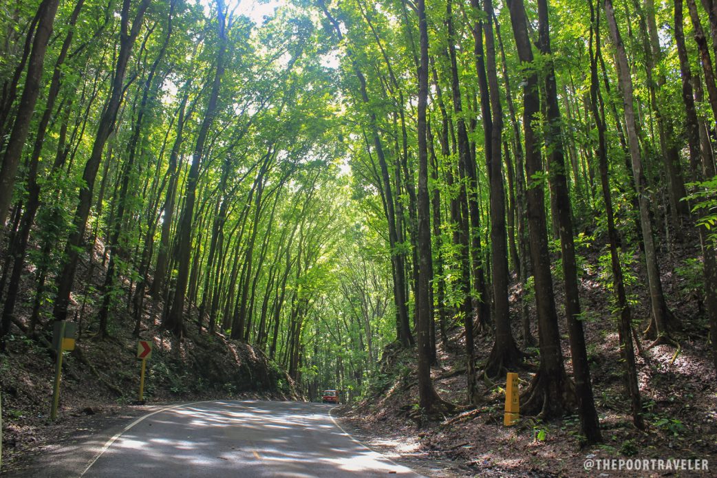 11 Tourist Spots for Your BOHOL ITINERARY - Philippine Beach Guide