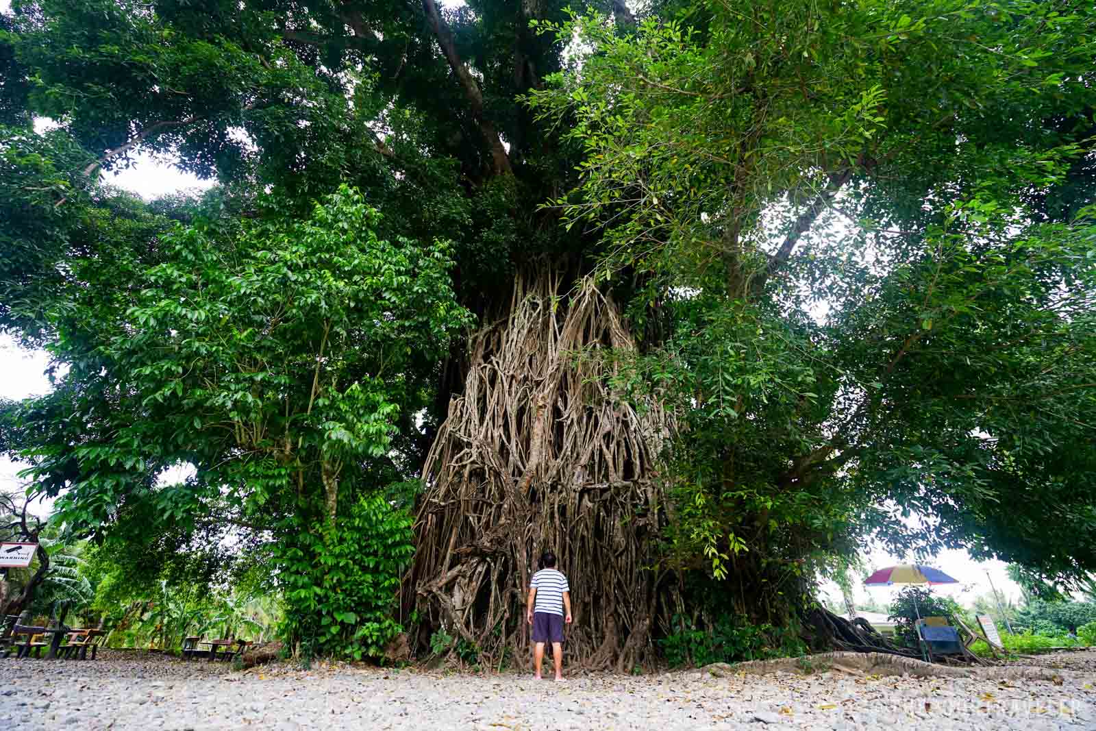 9 Tourist Spots for Your BALER ITINERARY - Philippine Beach Guide