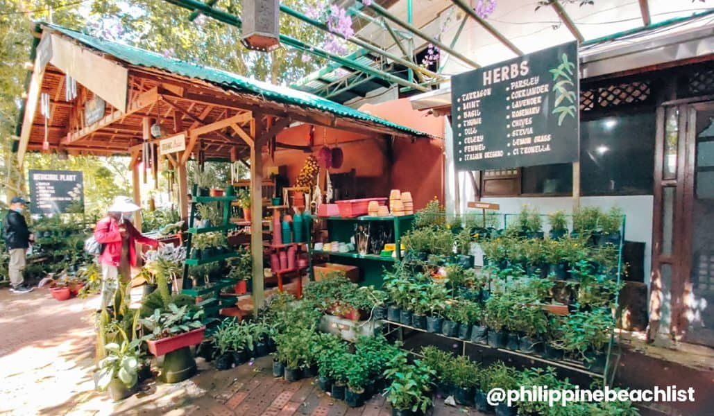 Top 30 Tourist Spots in TAGAYTAY Area (Tagalog) - Philippine Beach Guide