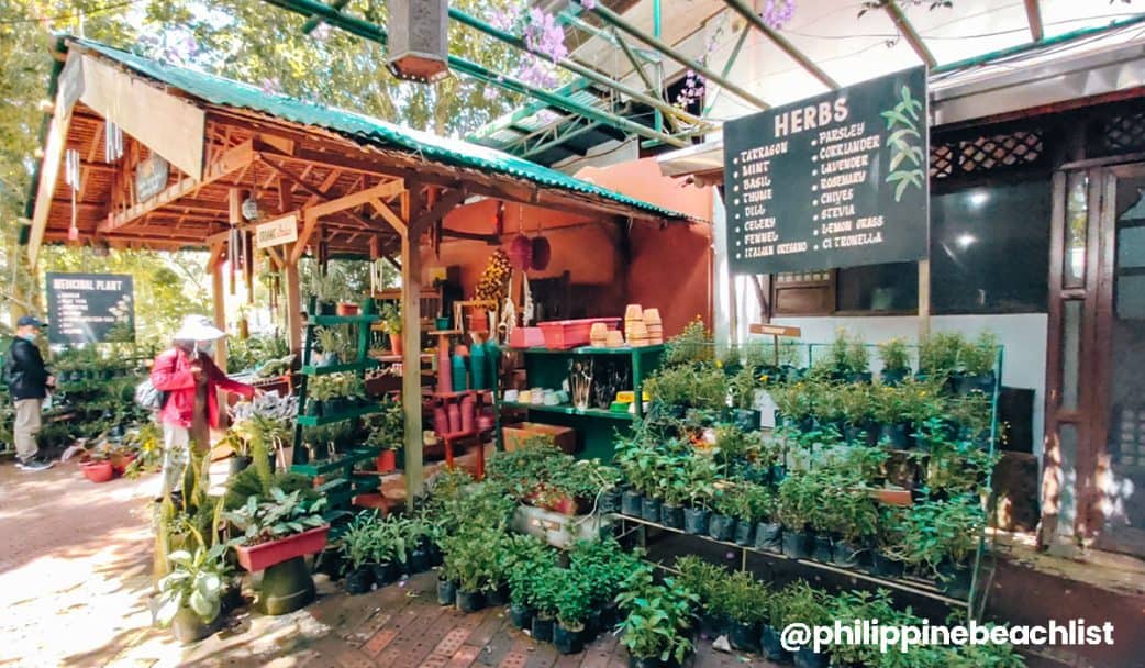 TAGAYTAY Step-by-Step Travel Guide - Philippine Beach Guide