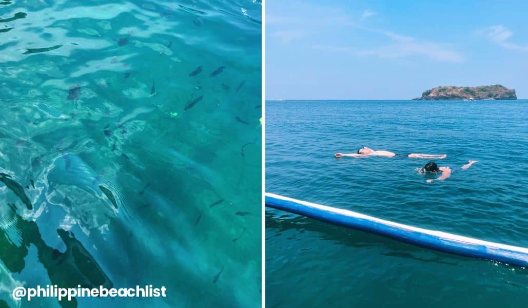 2024 NASUGBU, BATANGAS: Calayo Island Hopping Guide (Kayraang, Taytayin ...