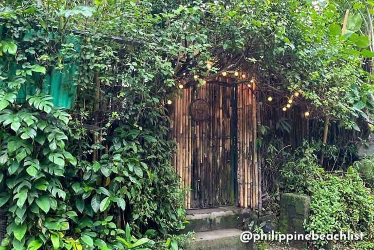 Where to EAT in UP DILIMAN? Here are 7 Spots for You to Try ...