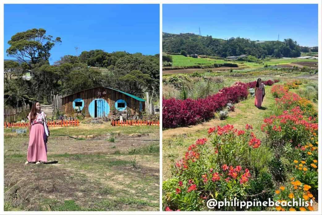 Top 10 Things to Do & Attractions in ATOK, Benguet - Philippine Beach Guide