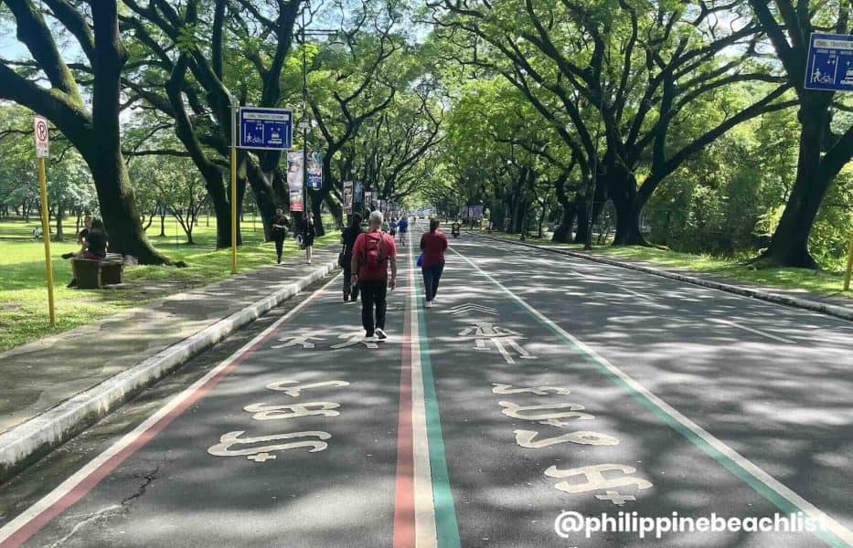 Top 20 Things to Do in UP DILIMAN - Philippine Beach Guide