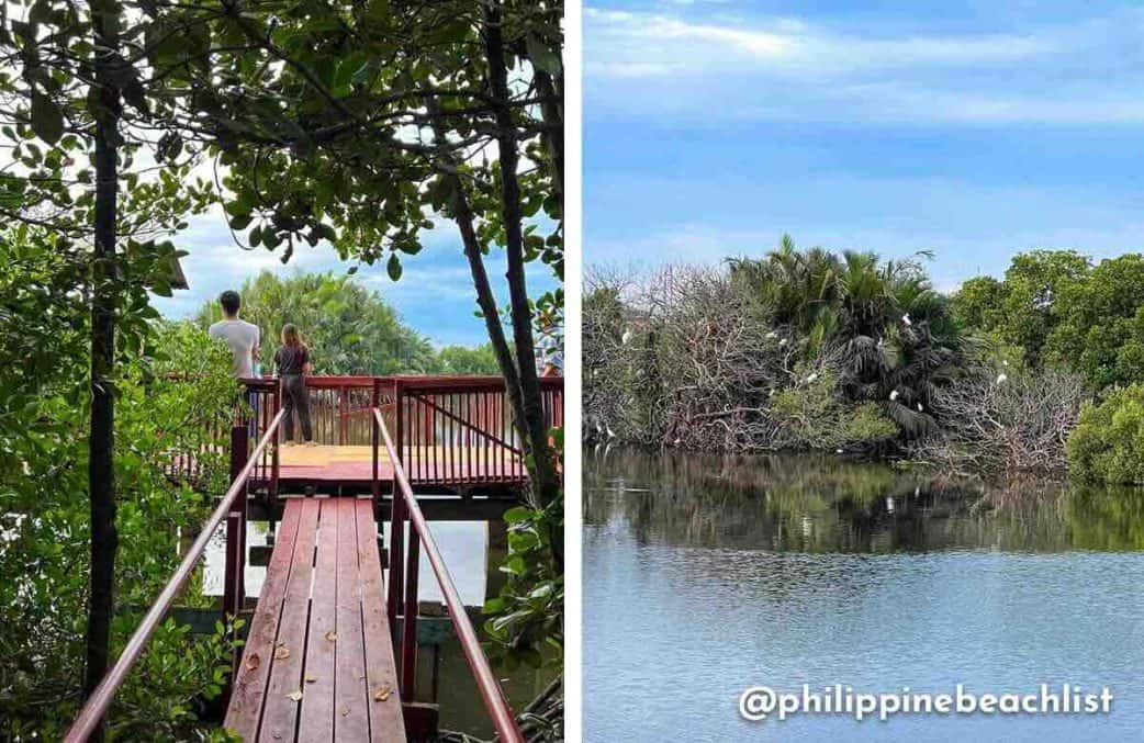 Top 20 Things to Do & Attractions in ZAMBOANGA CITY - Philippine Beach ...